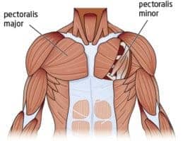 The Doorway Pec Stretch Upgraded - Precision Movement
