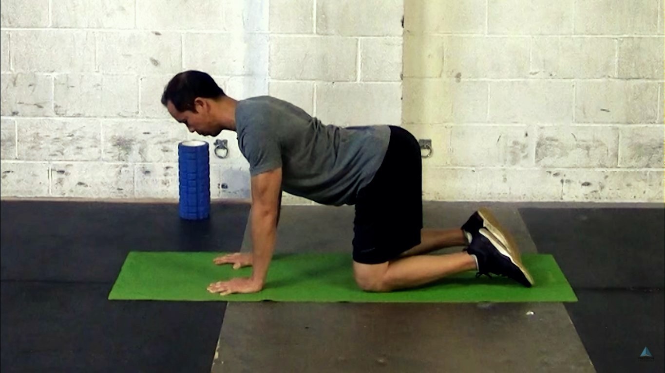 Do THIS Instead of a Levator Scapulae Stretch for Neck Pain - Precision ...