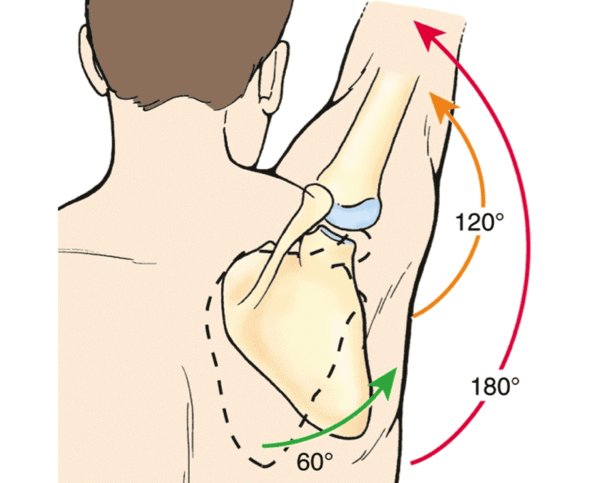 Shoulder Impingement Rehab Guide - Precision Movement