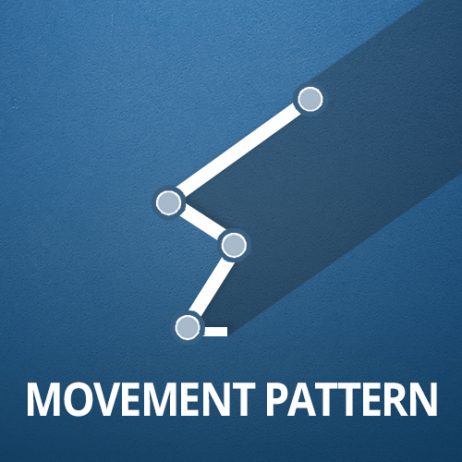 The Foundation for Movement Longevity Program