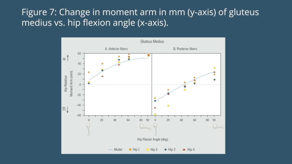 How to Improve Hip Internal Rotation (Fix Knee Pain!) - Precision Movement