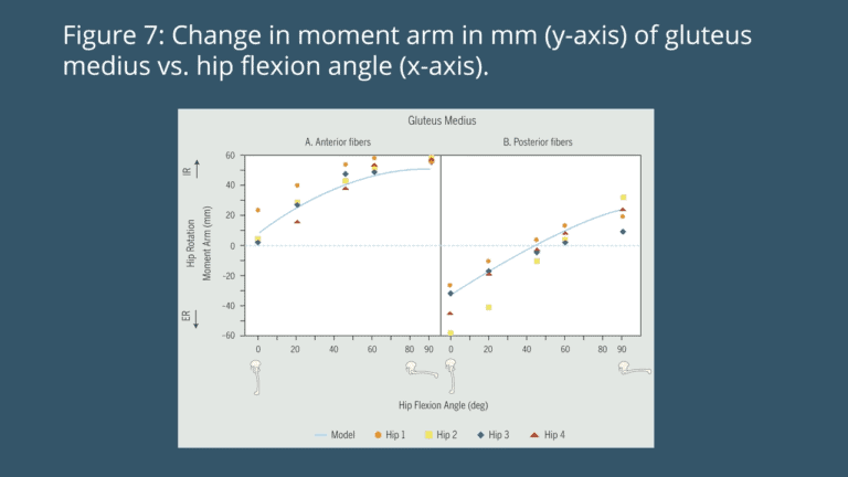 How to Improve Hip Internal Rotation (Fix Knee Pain!) - Precision Movement