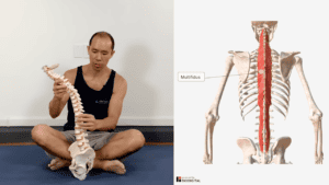 3 Rounded Shoulders Exercises to Fix Posture in 10 Minutes a Day ...