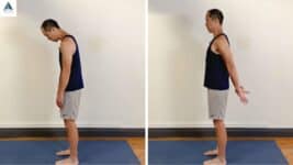 3 Rounded Shoulders Exercises to Fix Posture in 10 Minutes a Day ...
