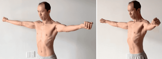 The 5 Fundamental Movements to Prevent Shoulder Pain - Precision Movement
