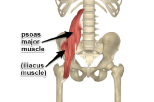 Must-Do Hip Flexor Exercises to Keep Athletes in the Game