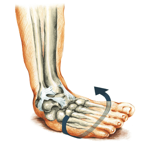 5 Science-Based Exercises for Sprained Ankle Recovery