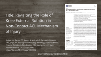 4 Tibial Rotation Exercises to Fix Knee Pain at Home - Precision Movement