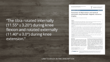 4 Tibial Rotation Exercises to Fix Knee Pain at Home - Precision Movement