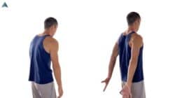 How to Fix Scapular Winging in 4 Easy Exercises (NO EQUIPMENT ...