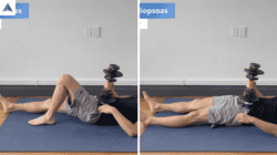 5 Tight Psoas Exercises for Lasting Relief and Improved Mobility ...