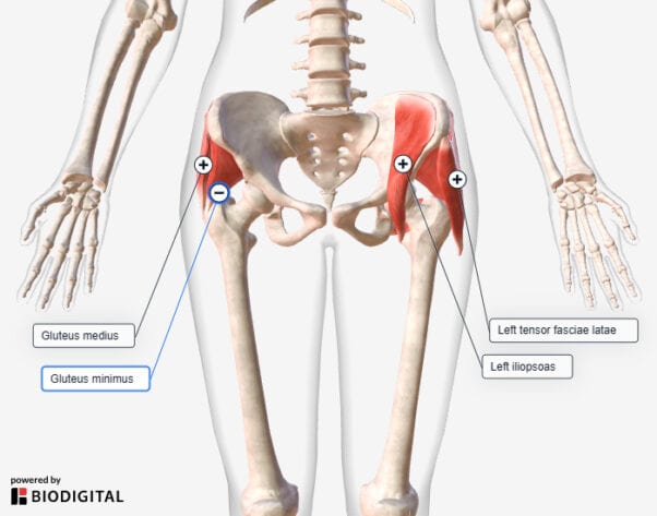 4 Exercises for Outer Hip Pain Relief (Simple & Effective)