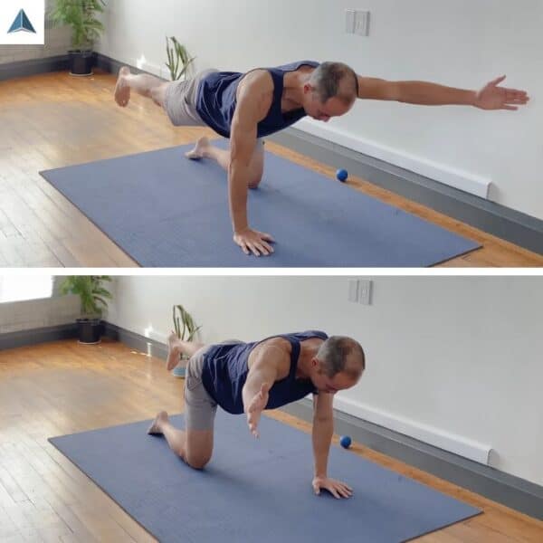 5 Quadratus Lumborum Exercises to Stabilize Your Core and Spine ...